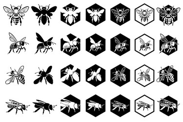 Set of bees Royalty Free Vector Image - VectorStock