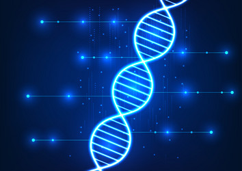 Medical technology dna structure displayed Vector Image