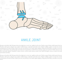 Ankle Vector Images (over 11,000)