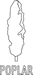 Poplar Vector Images (over 3,000)