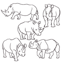 Rhino Vector Images (over 10,000)
