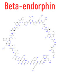 Alpha-endorphin molecule skeletal formula Vector Image