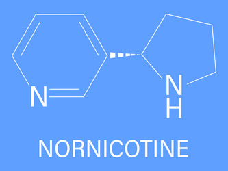 Nornicotine alkaloid molecule skeletal formula Vector Image
