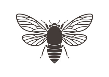 Cicada Vector Images (over 420)
