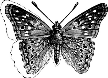 Emperor Vector Images (over 23,000)