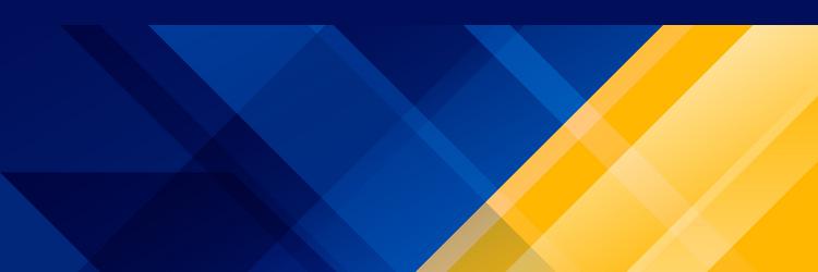 Purple and gray diagonal line footer design Vector Image