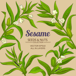 Sesame set Royalty Free Vector Image - VectorStock