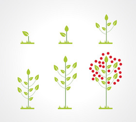 Growing Tree Vector Images (over 48,000)