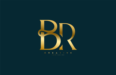 Simple letter br monogram stylish type design logo