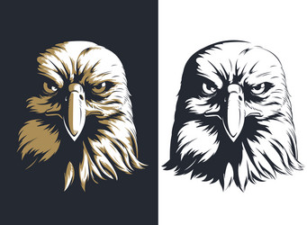 Eagle Front View Vector Images (over 160)