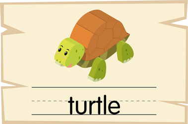Turtle Flashcard Vector Images (over 100)