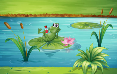 Frog Vector Images (over 23,000)