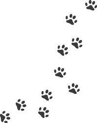 Wolf paws animal paw prints different Royalty Free Vector