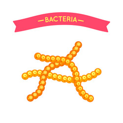 Bacillus Vector Images (over 29,000)