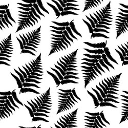 Silver Fern Vector Images (over 7,800)
