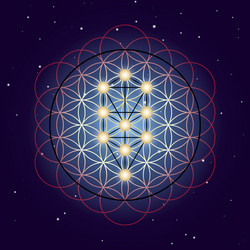Sacred Geometry Healing Symbol Vector Images (over 940)
