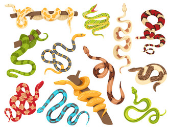 Snake Royalty Free Vector Image - VectorStock