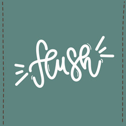 Flush banner Royalty Free Vector Image - VectorStock