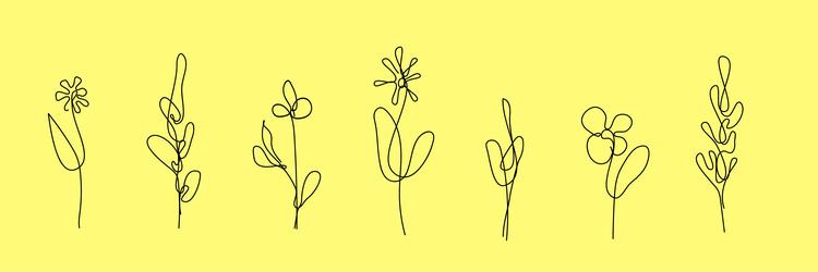Line Drawing Flower Stem Vector Images (over 4,100)