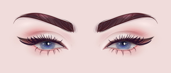 Realistic beautiful female eyes Royalty Free Vector Image