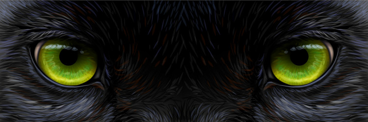 Panther Eyes Drawing