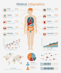 Human brain function map Royalty Free Vector Image