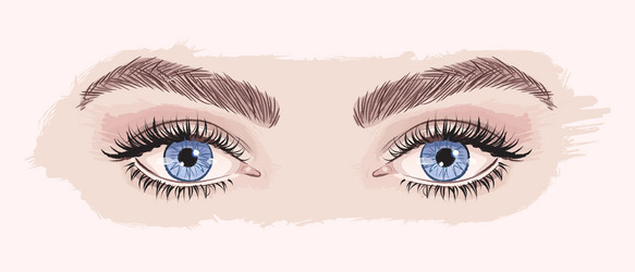 Hand drawn beautiful female blue eyes Royalty Free Vector