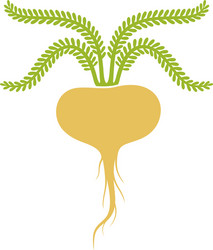 Maca Vector Images (over 200)