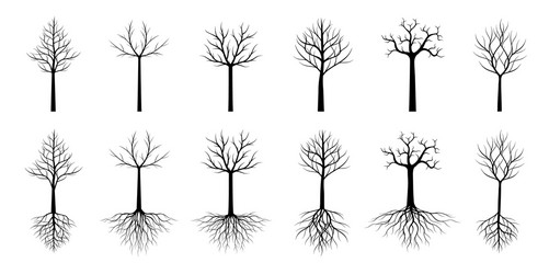 Fruit Tree Roots Vector Images (over 1,300)