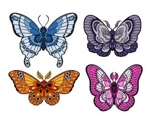 Colored acherontia styx butterfly isolated Vector Image