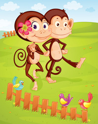 Monkey Couple Vector Images (over 310)