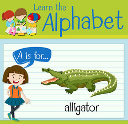 Alligator Flashcard Vector Images (over 110)