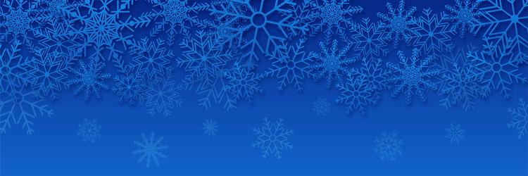 Christmas card banner background with snowflake Vector Image