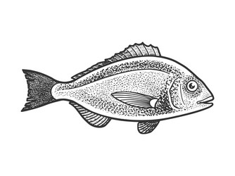 Bream Vector Images (over 1,000)