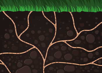 Ant Colony Vector Images (over 1,500)