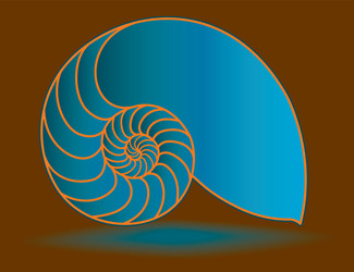Nautilus Vector Images (over 5,300)