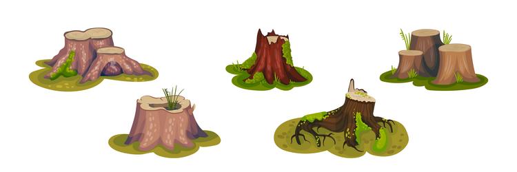 Tree stump and old forest stub on green grass Vector Image