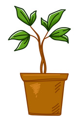 Plant tree seed growing in pot drawing Royalty Free Vector