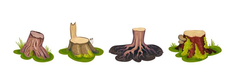 Tree stump and old forest stub on green grass Vector Image