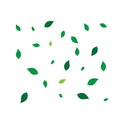 Scattered leaf background design Royalty Free Vector Image