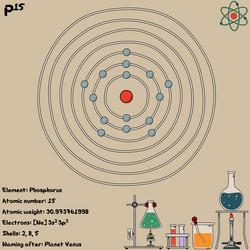 Bohr Model Of Phosphorus