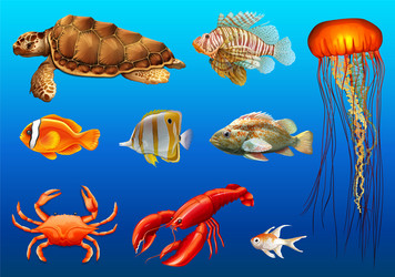 Different types of sea animals Royalty Free Vector Image