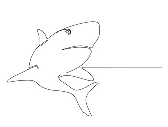 Continuous one line drawing of shark fish simple Vector Image