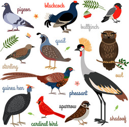 Bird with long legs Royalty Free Vector Image - VectorStock