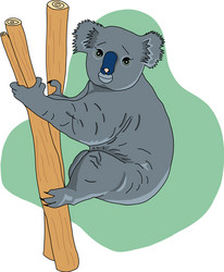 Koala Vector Images (over 13,000)