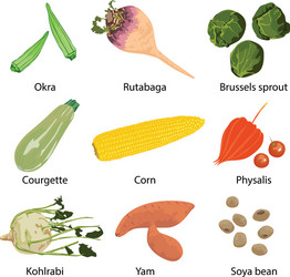 Set of exotic vegetables Royalty Free Vector Image