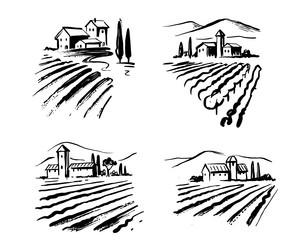 Vineyard with grape field sketch woman glass Vector Image