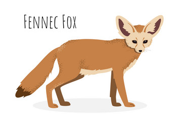 Fennec Fox Icon Vector Images (over 230)