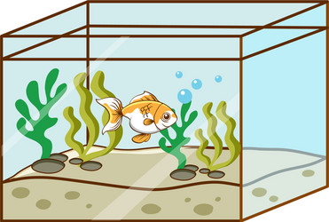 Cute fishes in tank cartoon isolated Royalty Free Vector