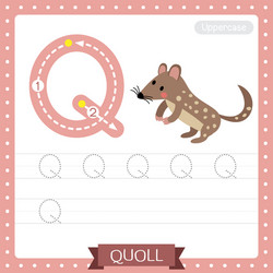 Letter Q Flash Card Vector Images (87)